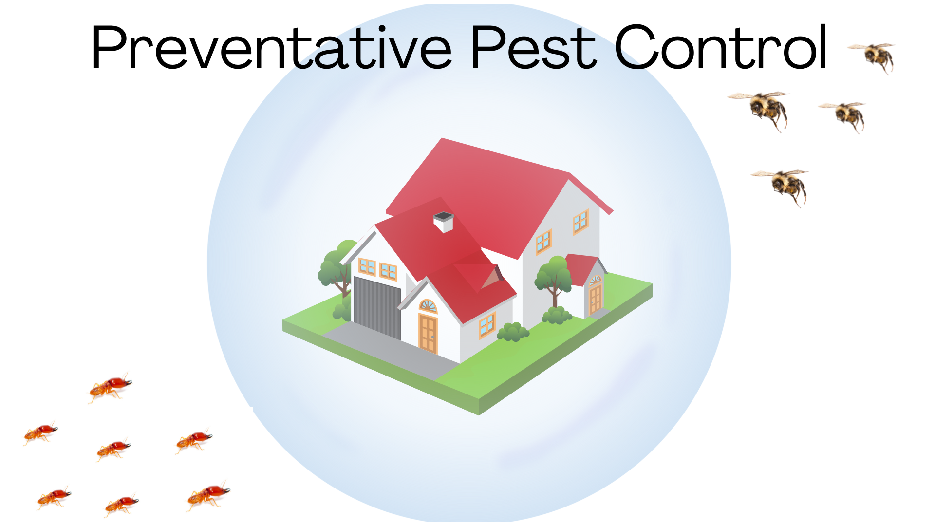 Is pest control prevention worth it - The Landscaping Zone