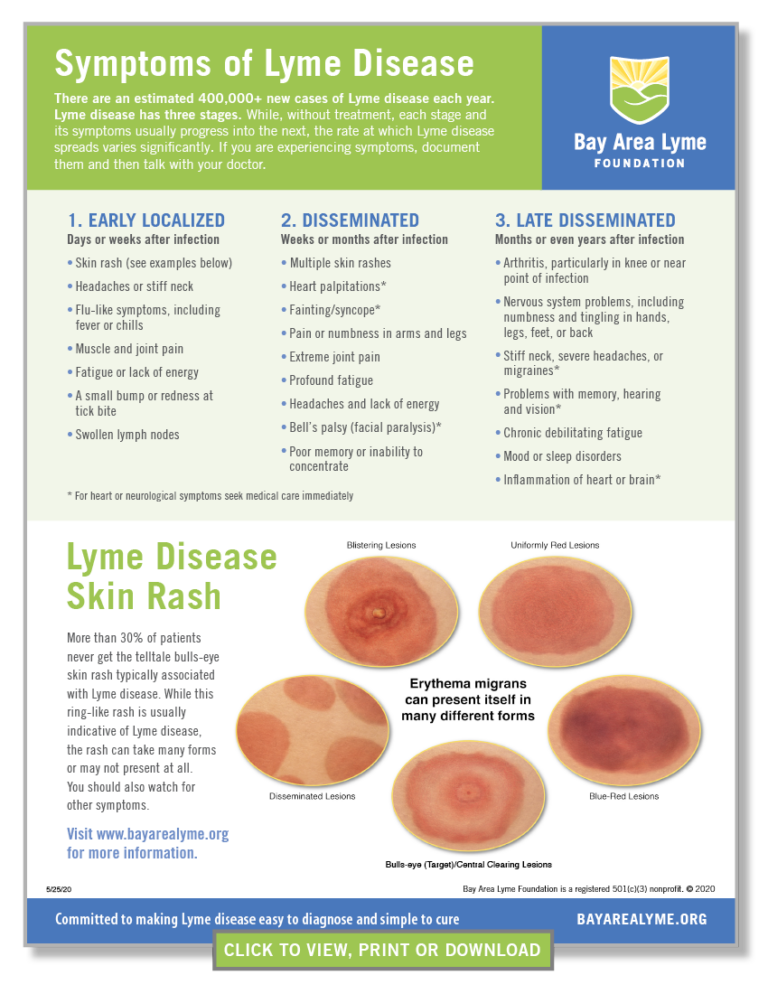 What are 5 symptoms of Lyme disease - The Landscaping Zone